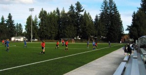 Gordon Field – Phase I - Bruce Dees & Associates